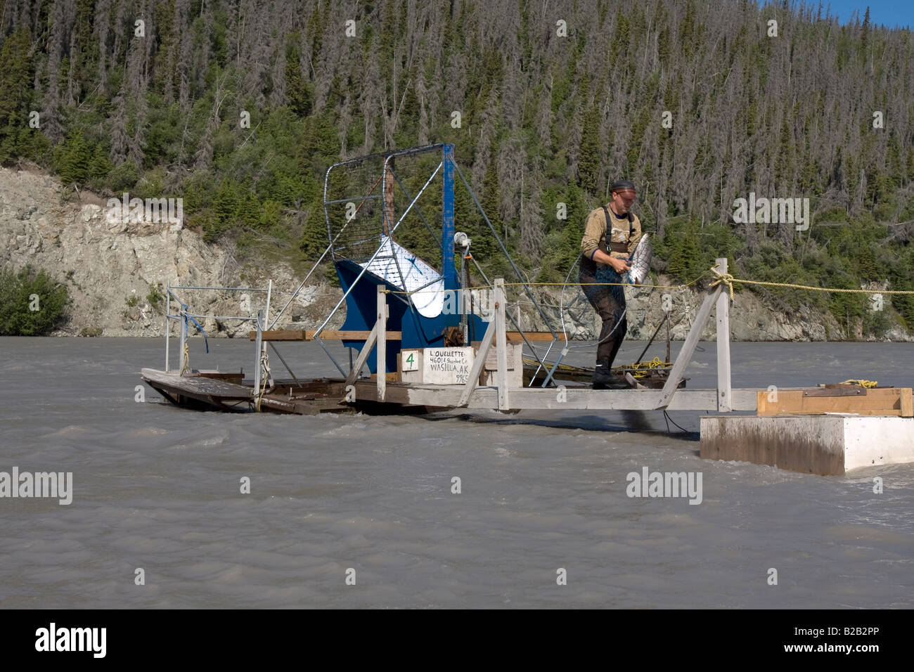 Fishing Wheel in Copper river near Chitina, Alaska Stock Photo - Alamy