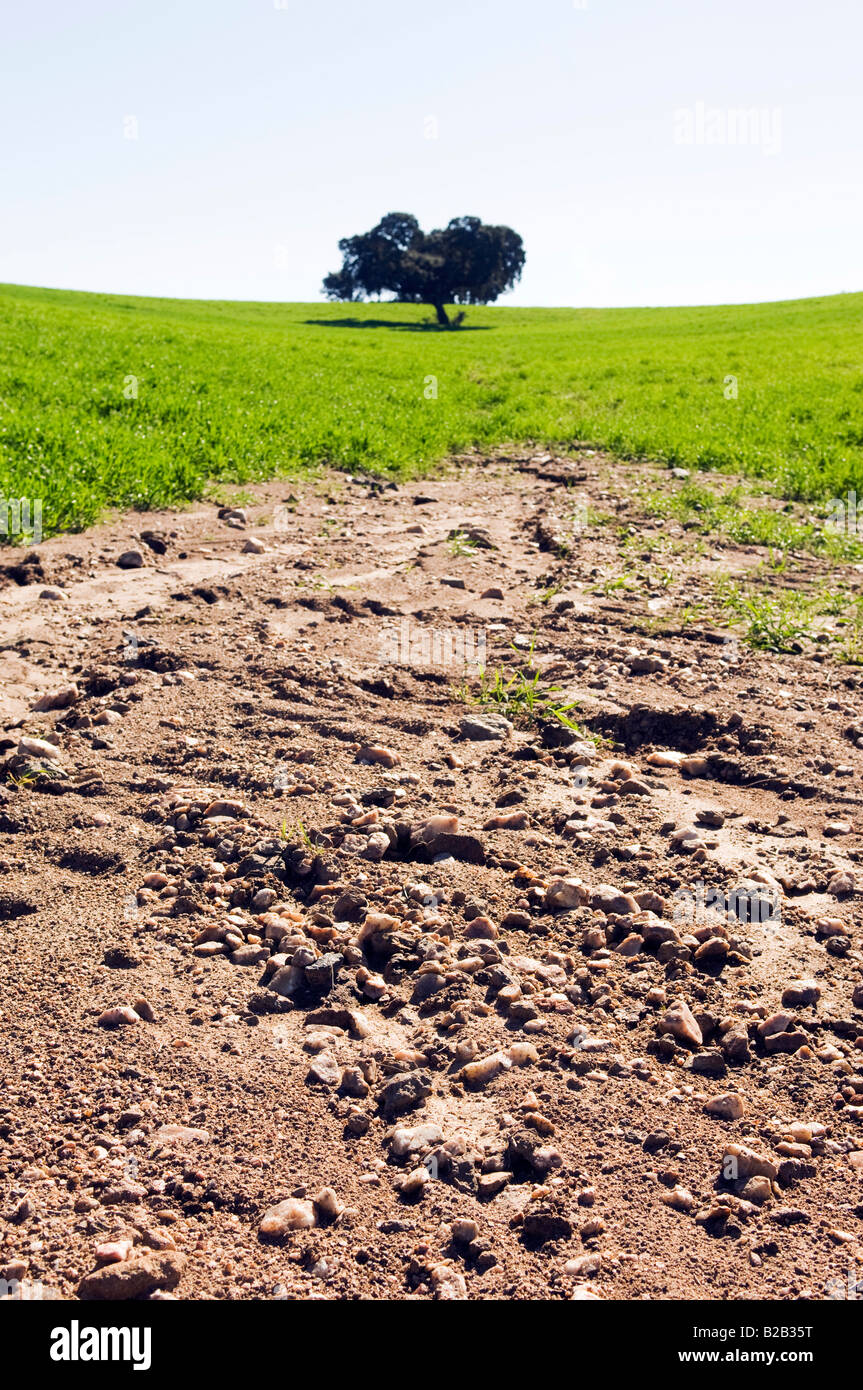 Soil erosion farm hi-res stock photography and images - Alamy