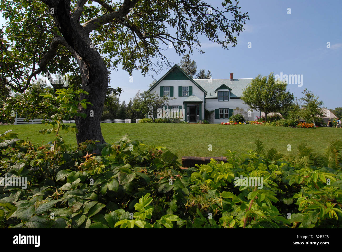 Anne of Green gables house prince edward island Stock Photo - Alamy