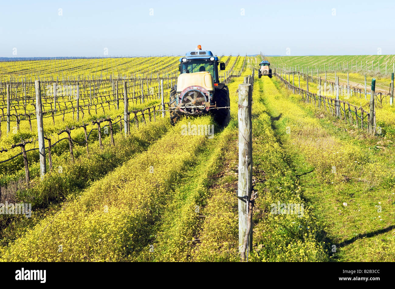 Vineyard tractor hi-res stock photography and images - Alamy