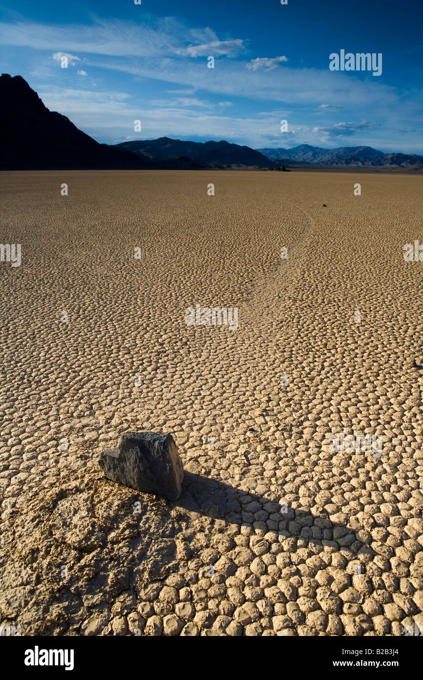 1dsmkii hi-res stock photography and images - Alamy