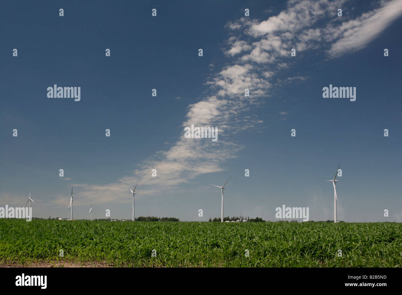 Iowa fields hi-res stock photography and images - Alamy