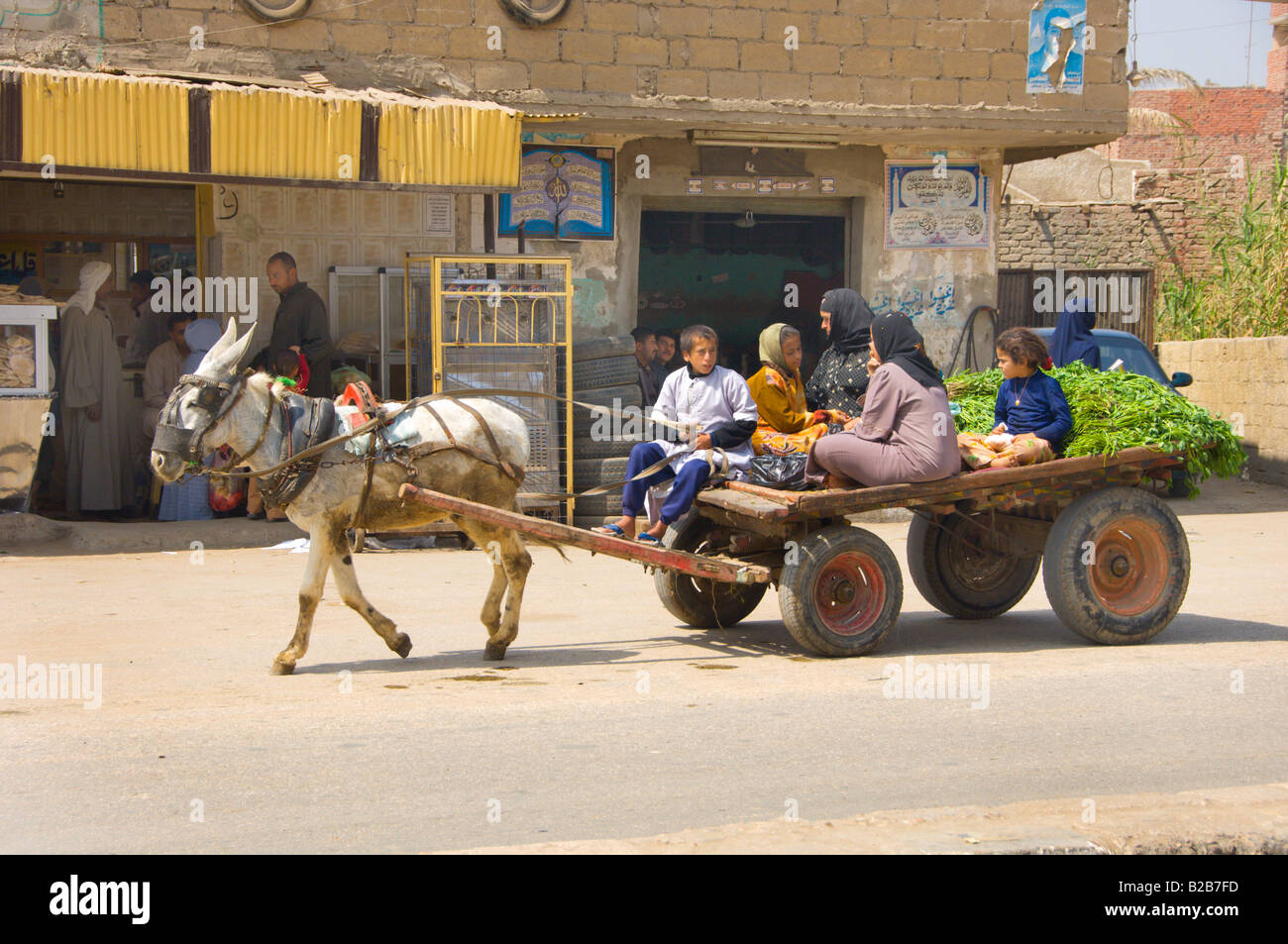 A donkey and wagon hauling fresh produce in the markets of the village ...