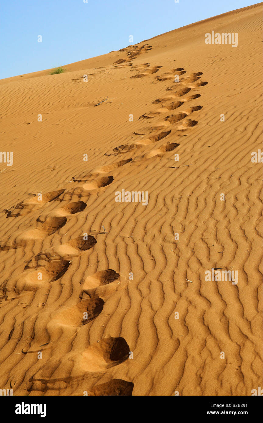 Dune shapes hi-res stock photography and images - Alamy