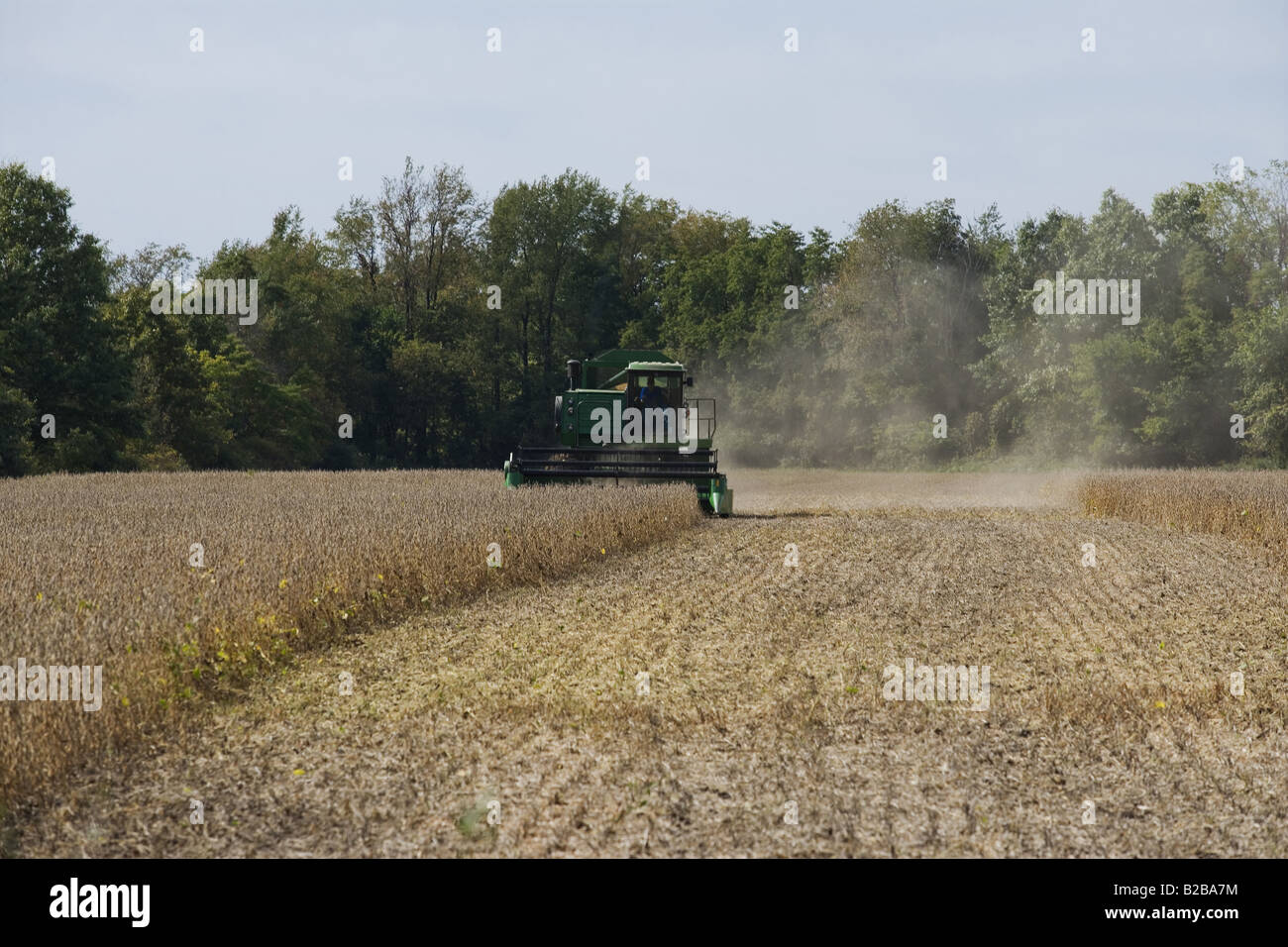 Combine harvester working in field Stock Photo - Alamy