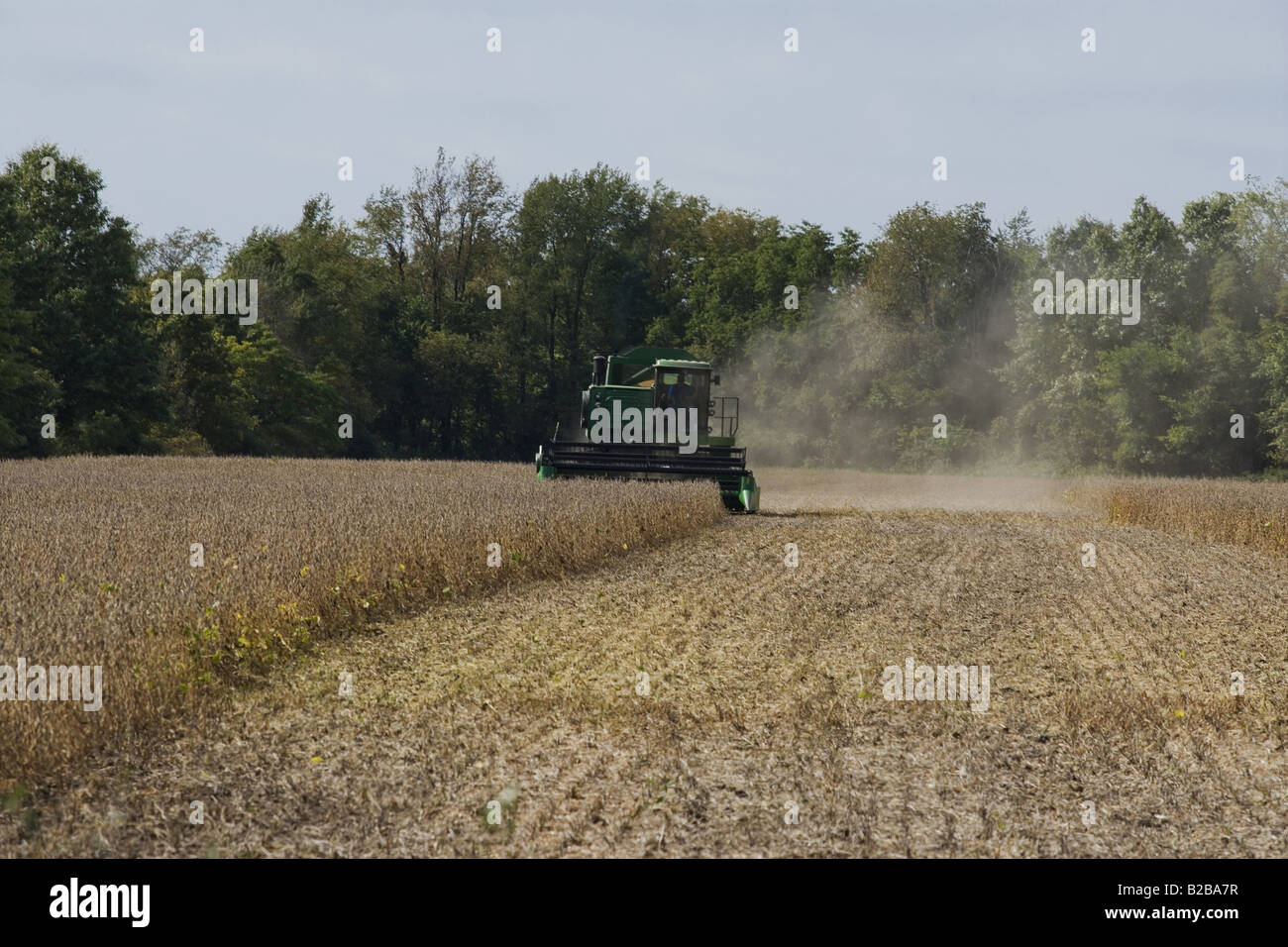 Combine harvester working in field Stock Photo - Alamy