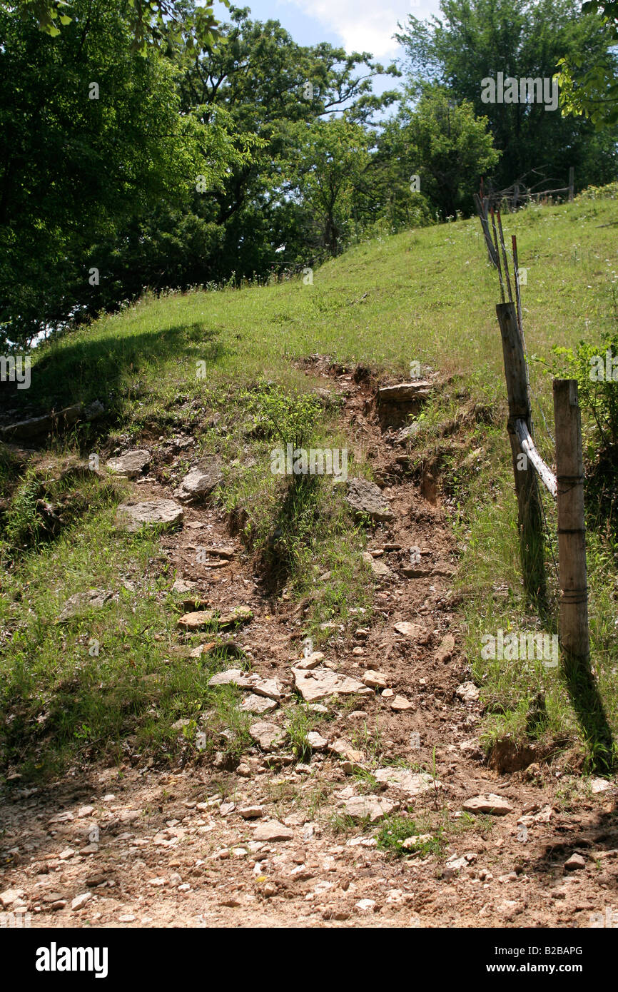 Soil Erosion By Animals