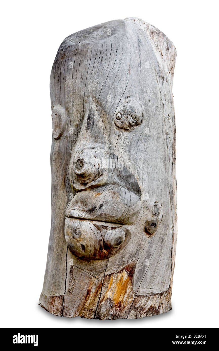 Human looking hi-res stock photography and images - Alamy