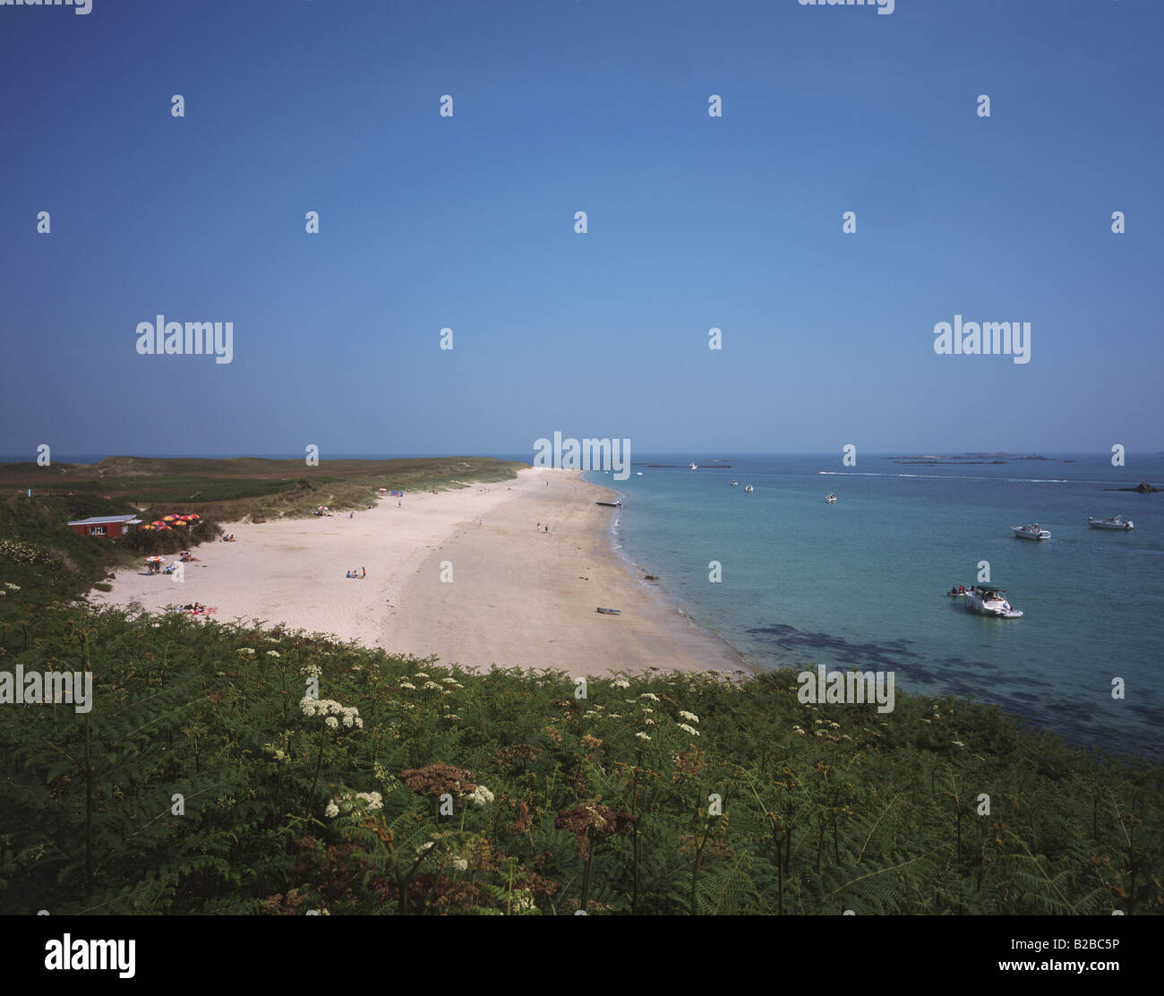 The herm hi-res stock photography and images - Alamy