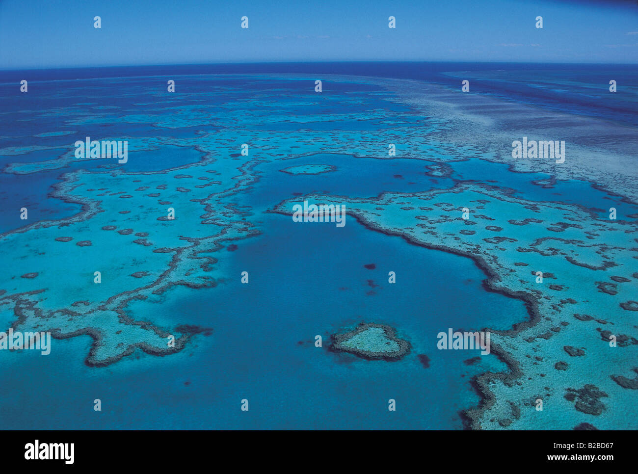 Great Barrier Reef Queensland Australia Stock Photo - Alamy