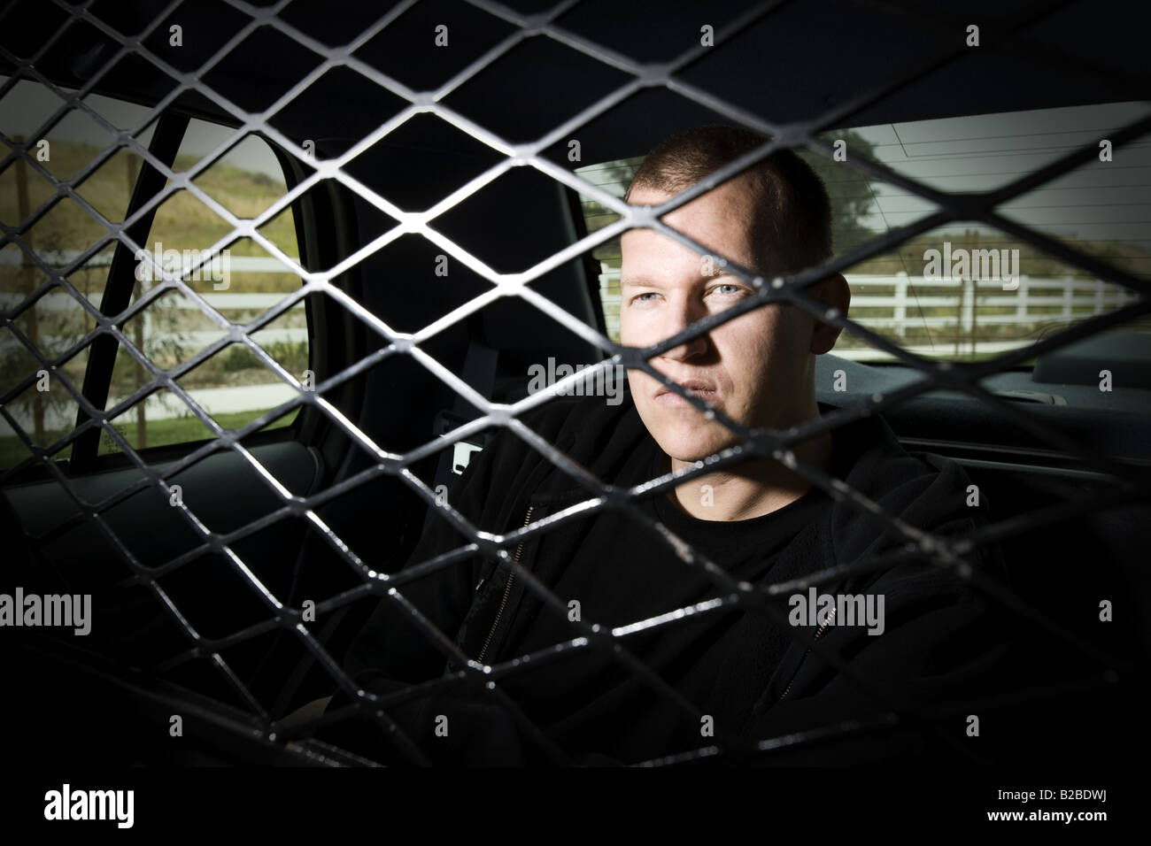 Perpetrator in back of Police car Stock Photo - Alamy