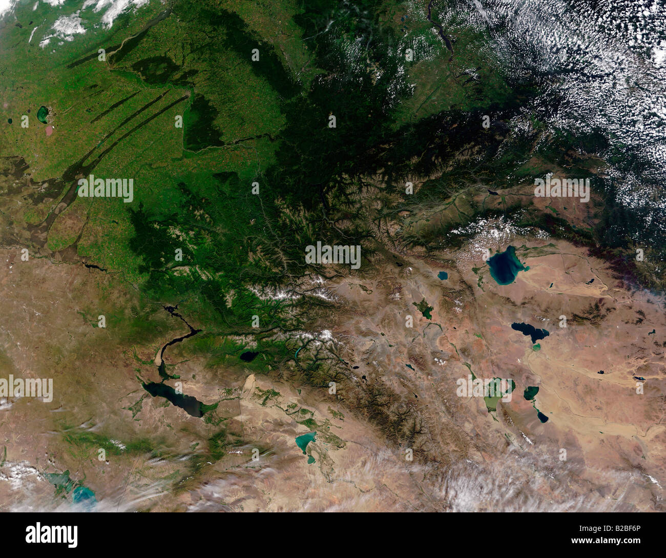 Vegetation in south-central Russia Stock Photo - Alamy