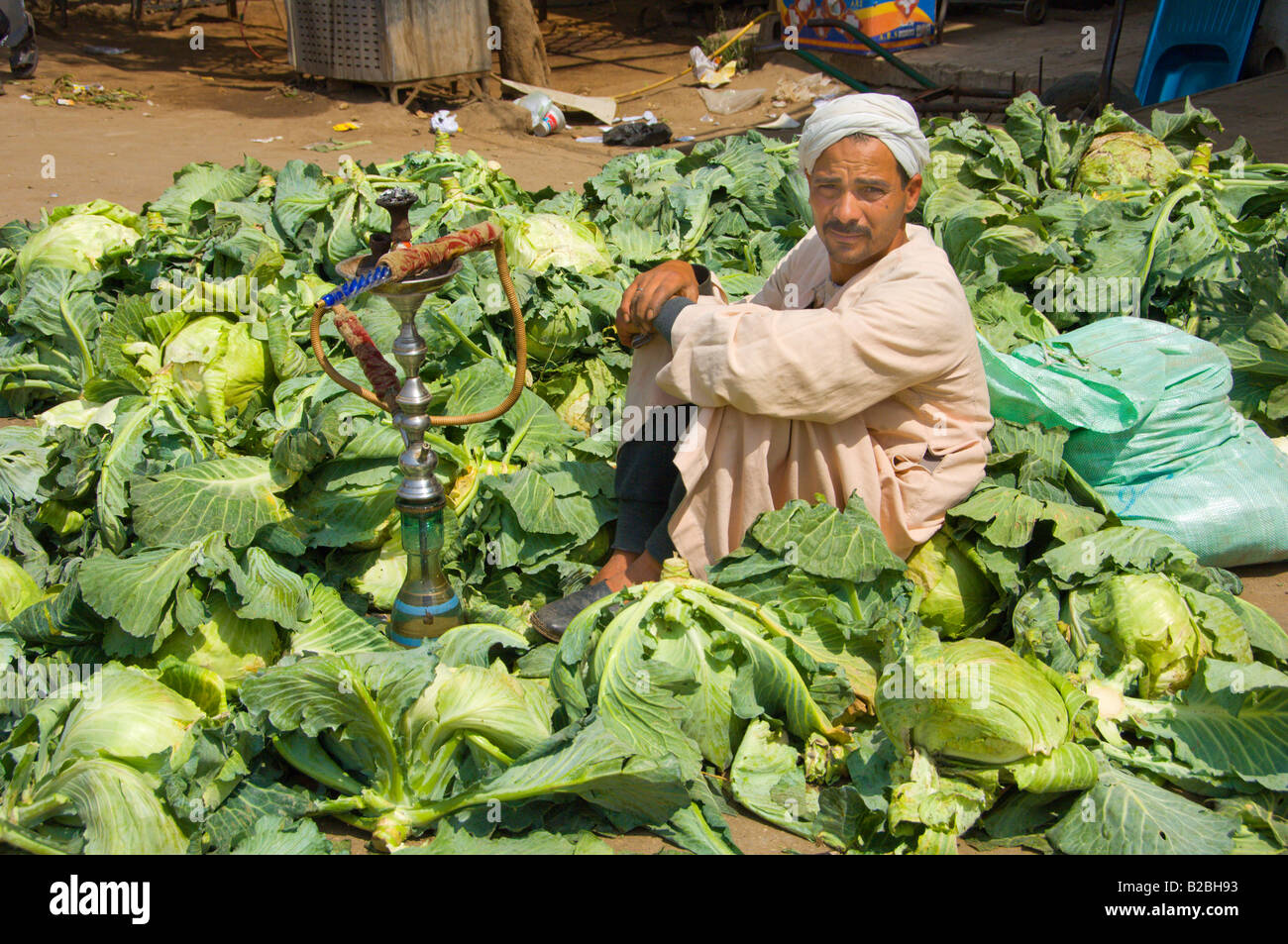 Egyptian cabbage hi-res stock photography and images - Alamy