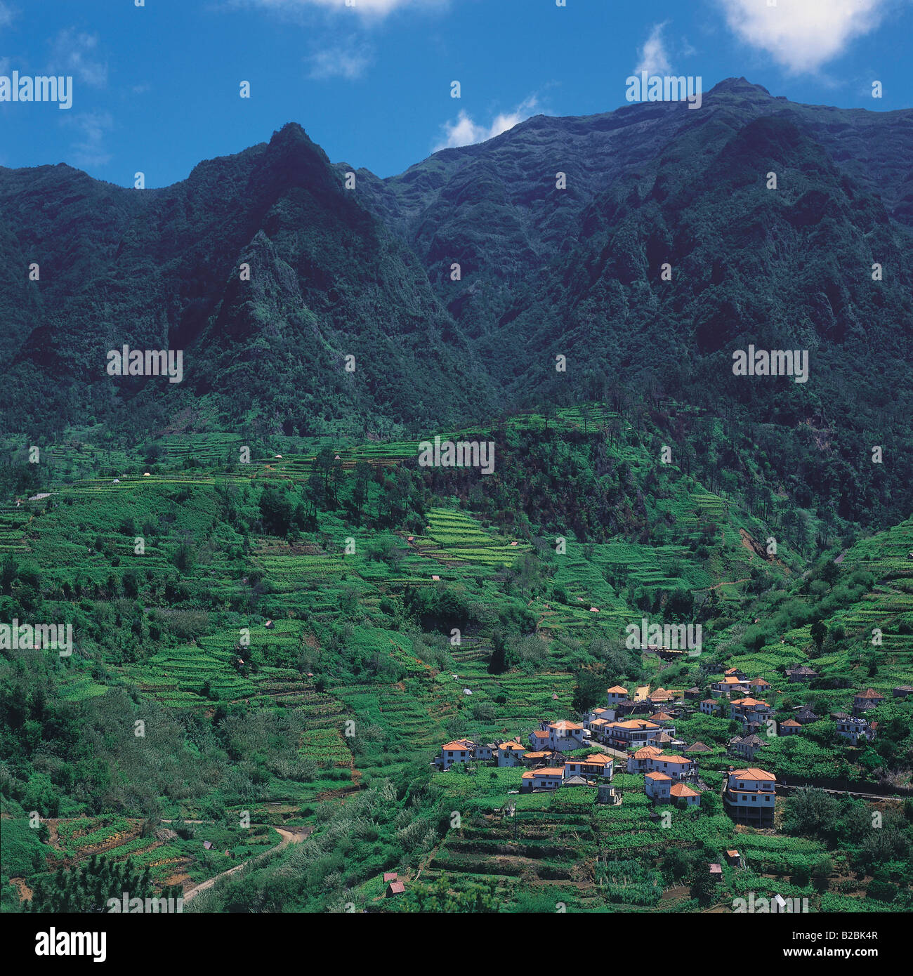 Inland madeira hi-res stock photography and images - Alamy
