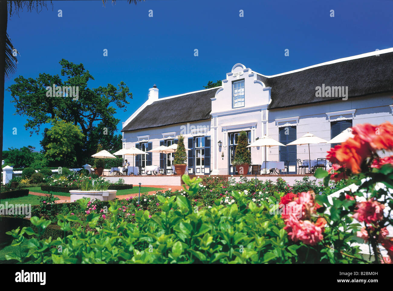 Cape Province South Africa Stock Photo - Alamy