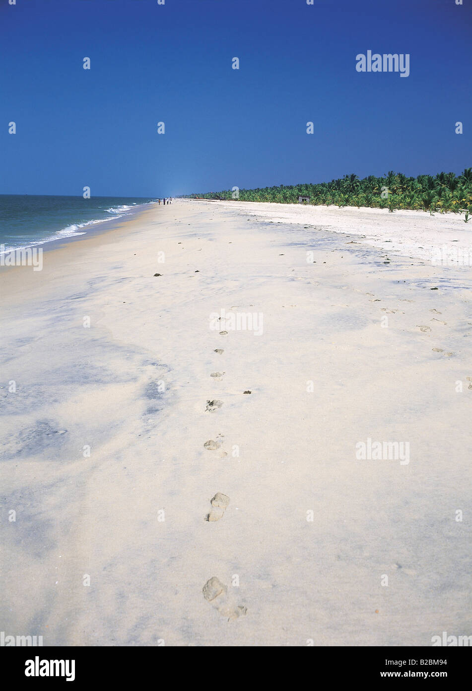Marari beach Kerala India Stock Photo - Alamy