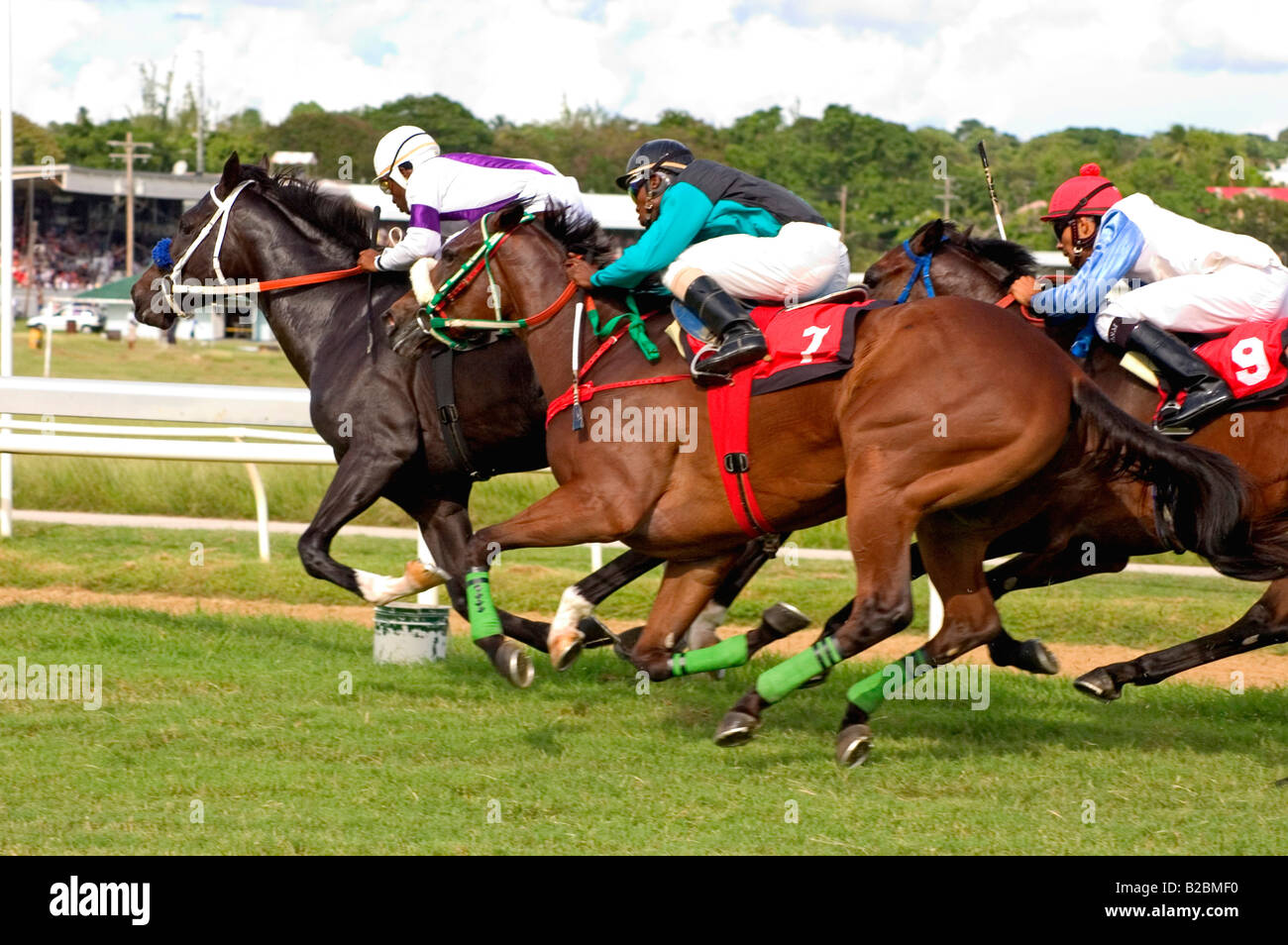 Horse races South Coast Barbados Stock Photo - Alamy