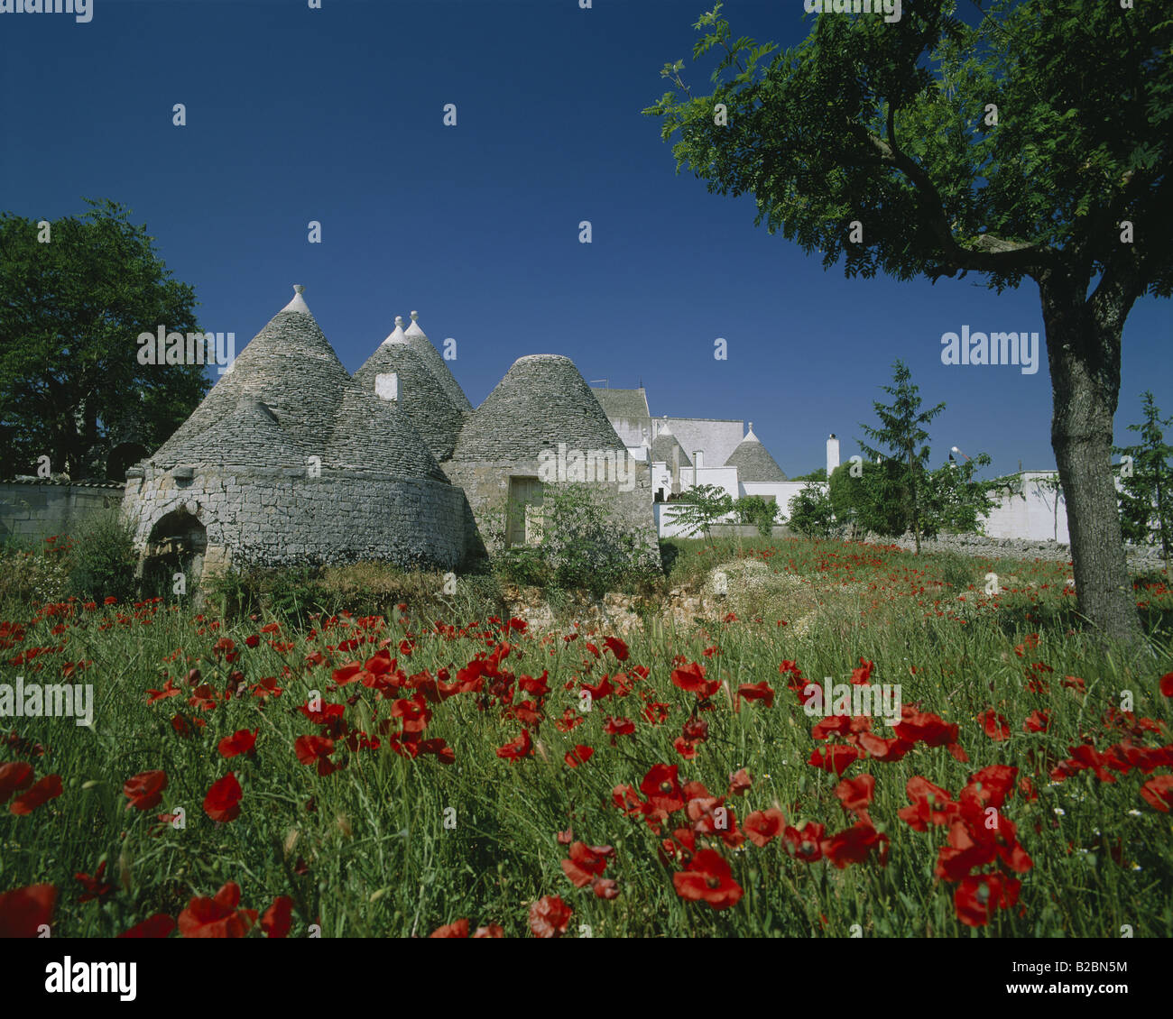 Trulli Apulia Italy Stock Photo - Alamy