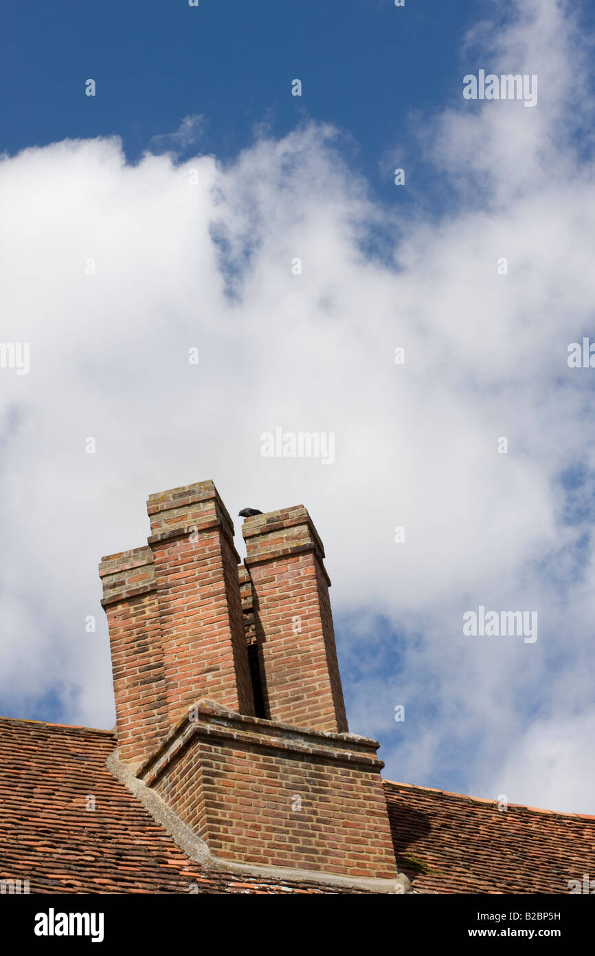 Brick Diagonal Chimney Stack with Four Stacks and a bird perched on top ...