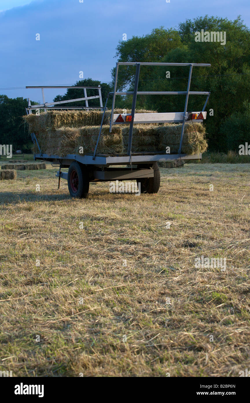 Wane hi-res stock photography and images - Alamy