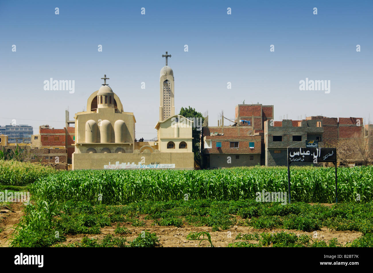 Egyptian farm hi-res stock photography and images - Alamy