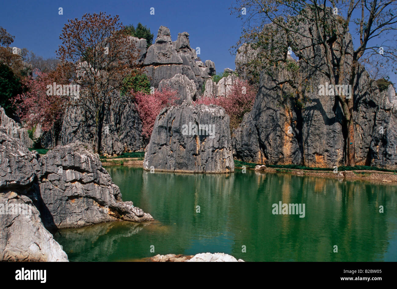 Shilin Hu Lake, stone forest, Kunming, Yunnan, China, Asia Stock Photo ...
