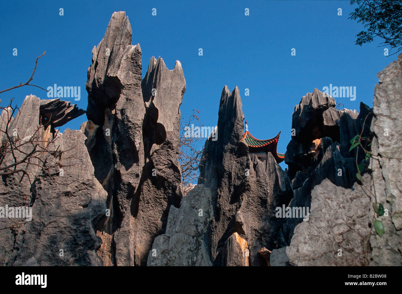 ShiLin Stone Forest, Kunming, Yunnan, China, Asia Stock Photo - Alamy