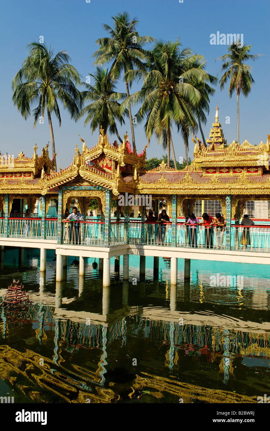 Fish pond in Botataung Pagoda, Yangon, Rangun, Burma, Birma, Myanmar ...