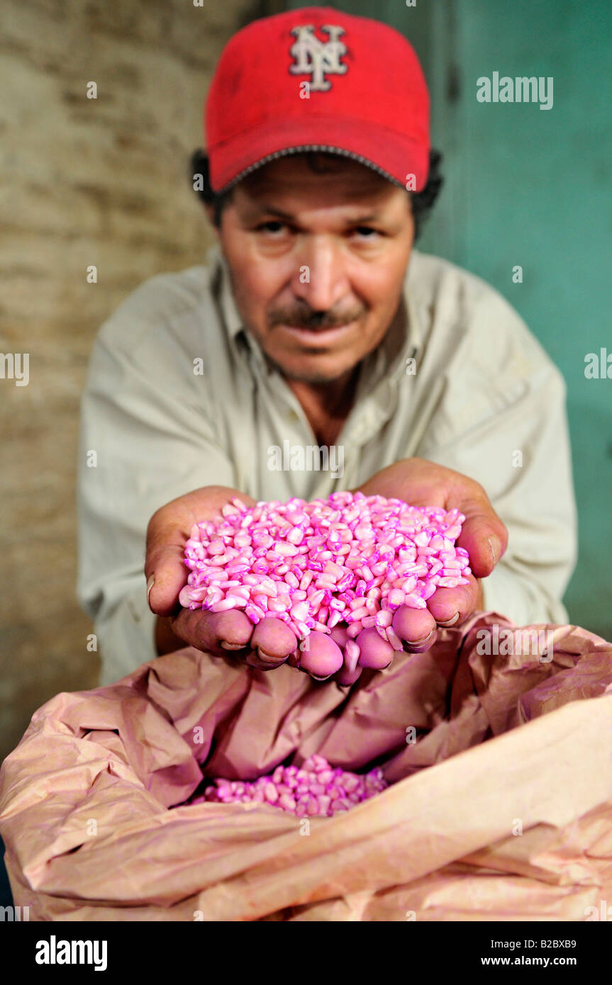 Miraflor hi-res stock photography and images - Alamy