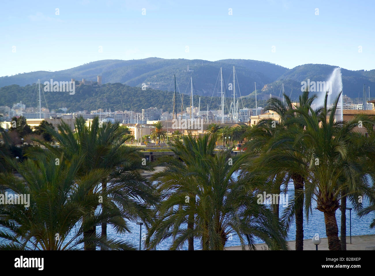 Parc de la Mar with palm trees, waterside and fountain. Palma de ...