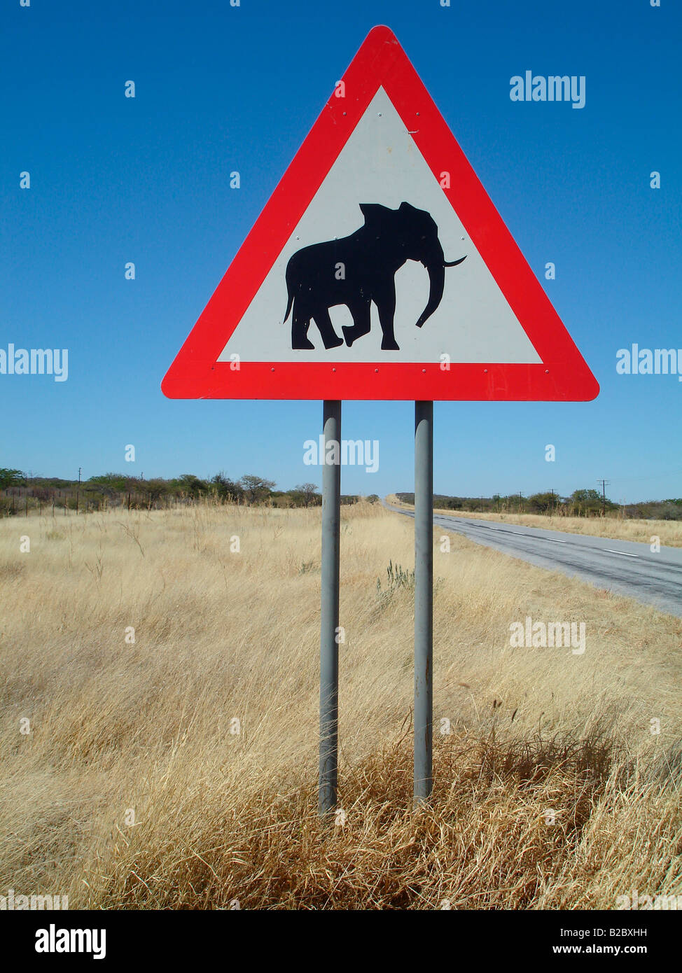 Road sign, beware of elephants, elephant crossing, near Khorixas ...