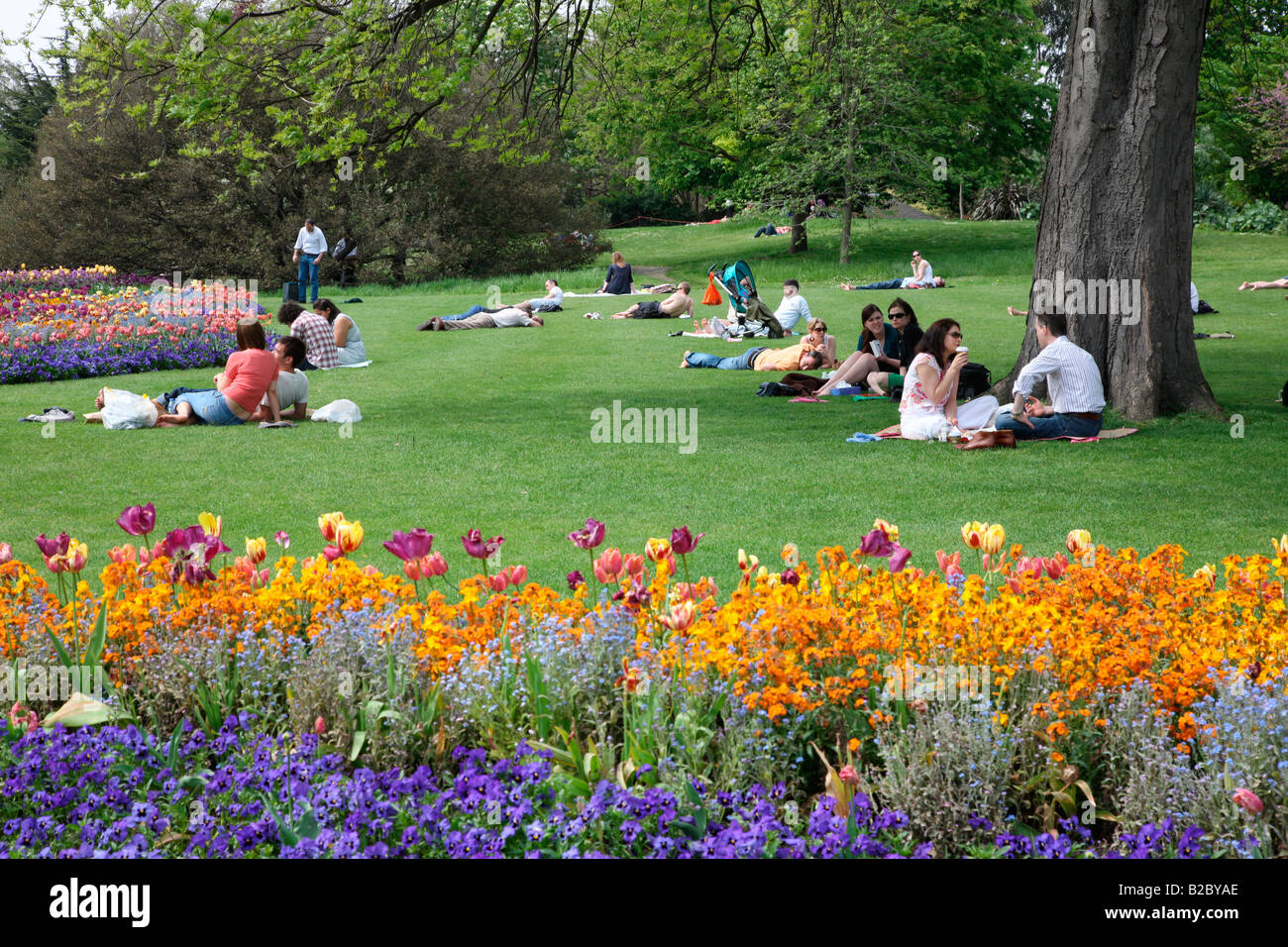 Leisure activities in Hyde Park, London, England, Great Britain, Europe ...