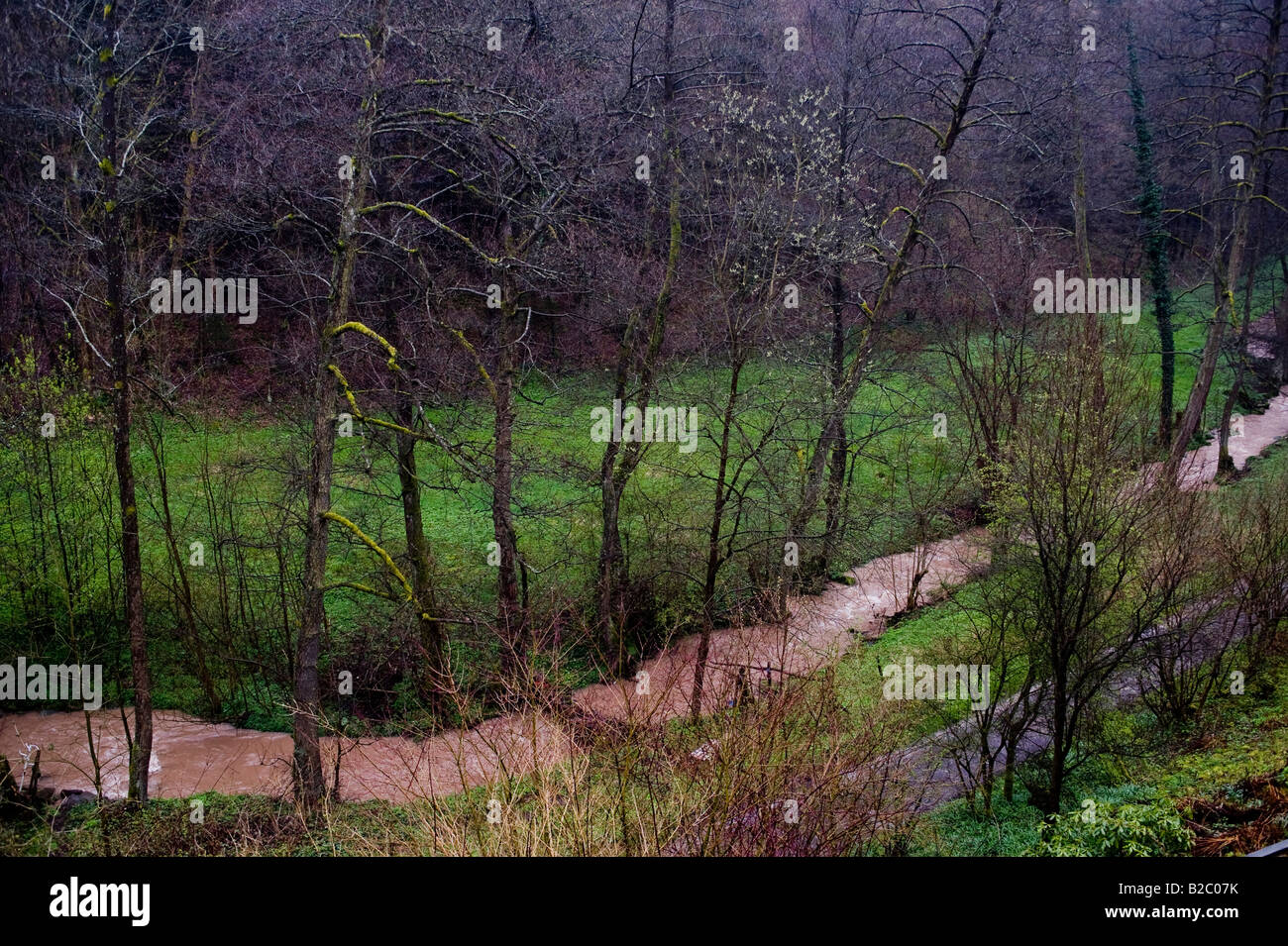 Rainy landscape with swelling brook Stock Photo - Alamy
