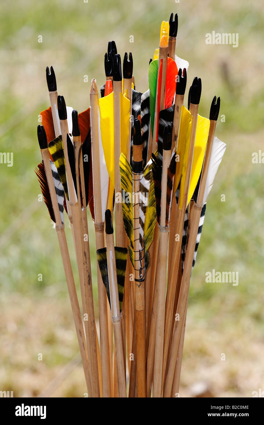 Knight tournament hi-res stock photography and images - Alamy