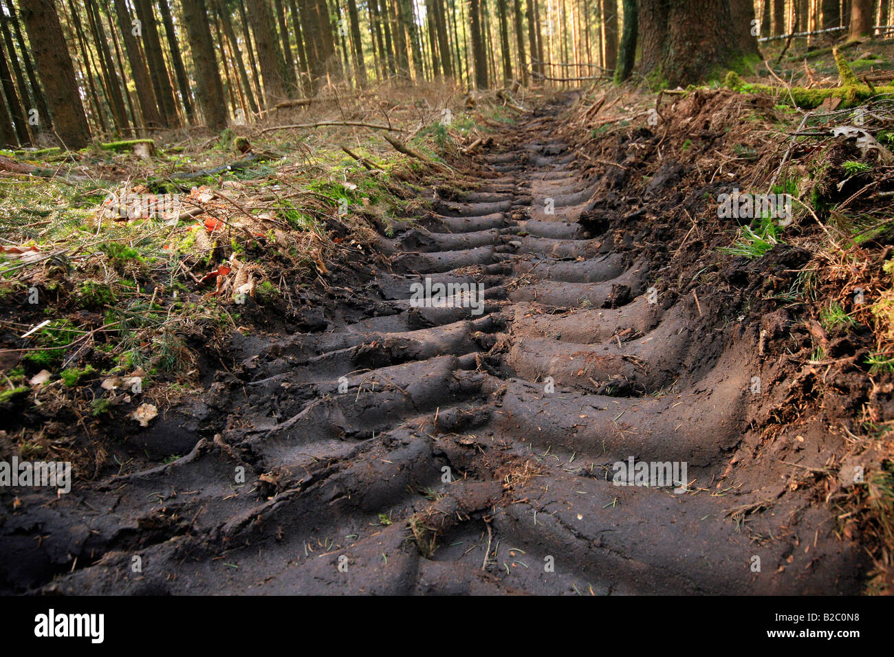 Tire tracks hi-res stock photography and images - Alamy
