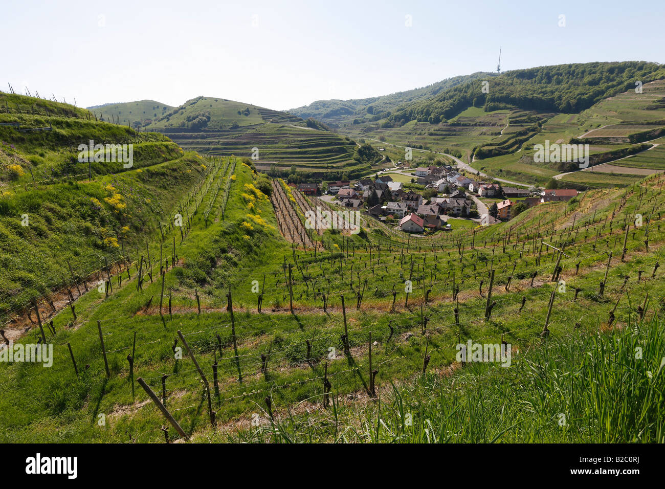 Landscape in Kaiserstuhl with a view of the vineyards in Oberbergen ...