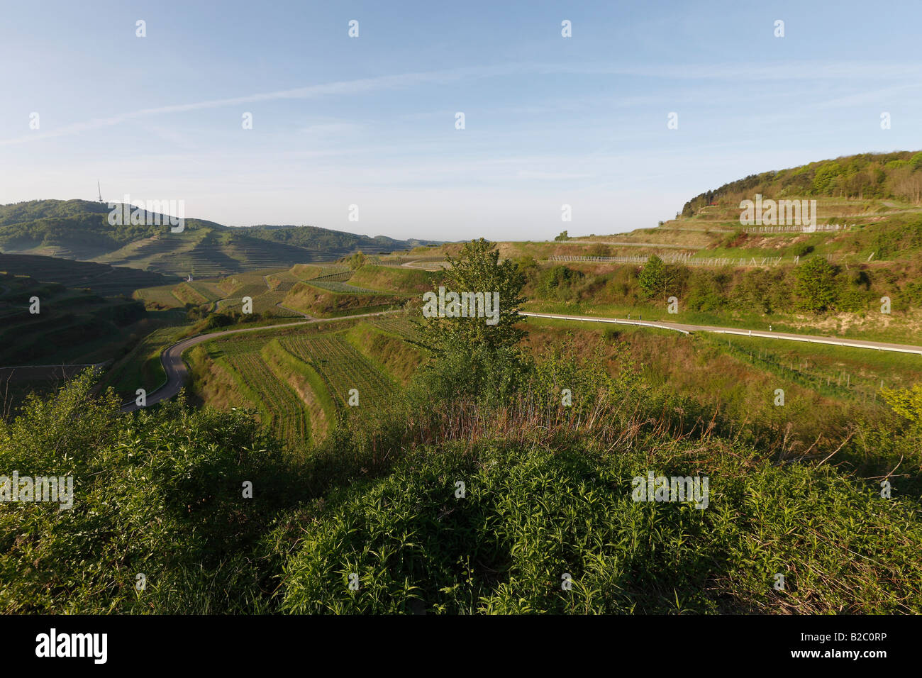 Landscape in Kaiserstuhl with a view of the vineyards in Oberbergen ...