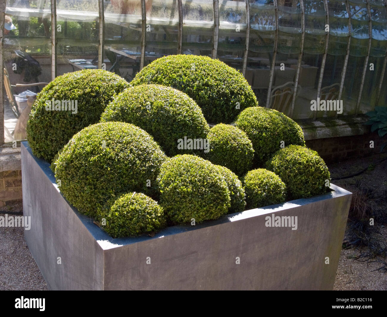 Topiary box sphere spheres hi-res stock photography and images - Alamy
