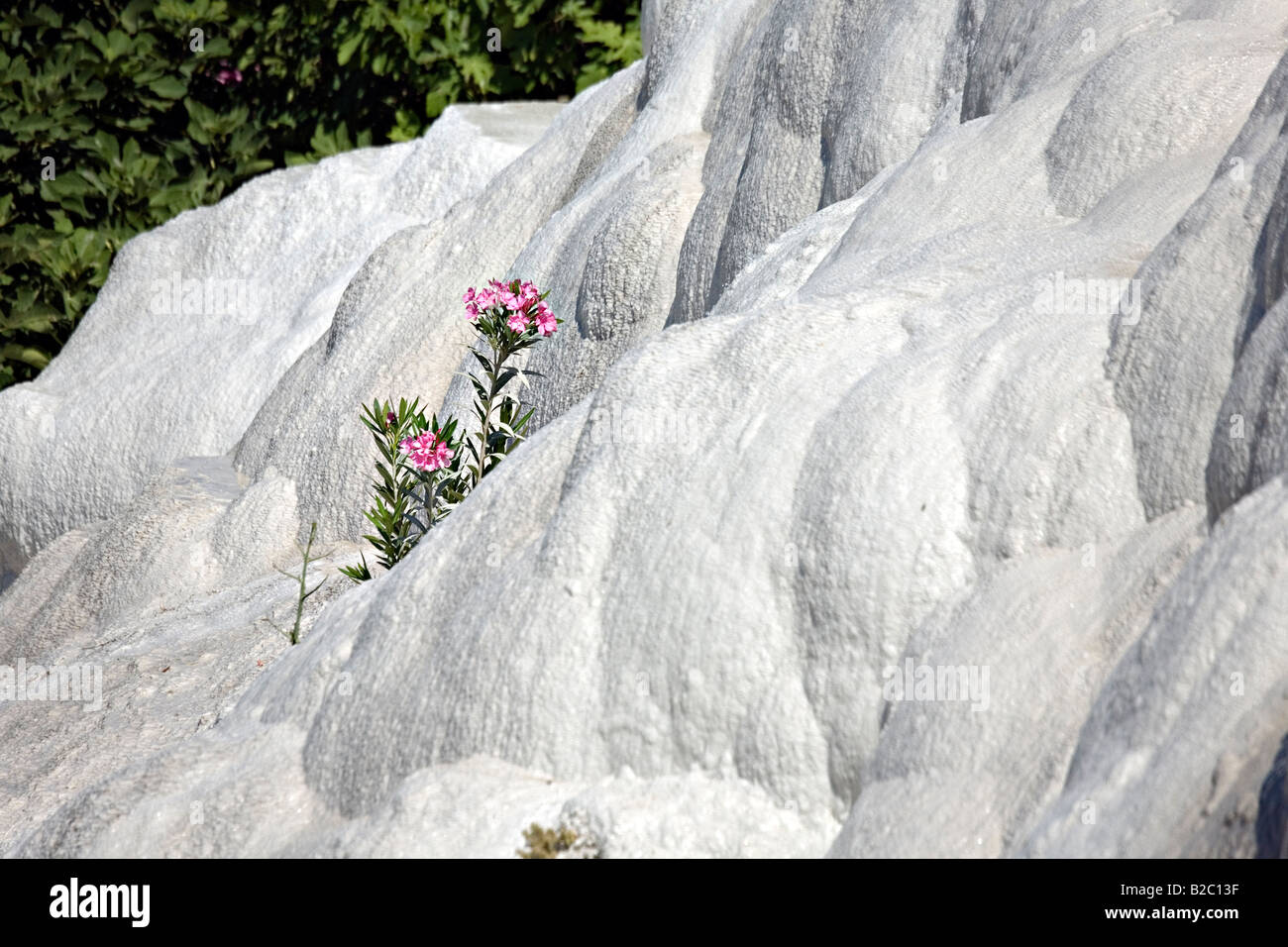 The calcite terraces and sulphur water pools at Pamukalle Turkey Stock ...