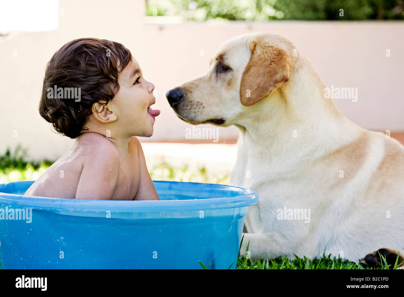 Baby boy bathing in a garden sticking out tongue imitating dog on the ...