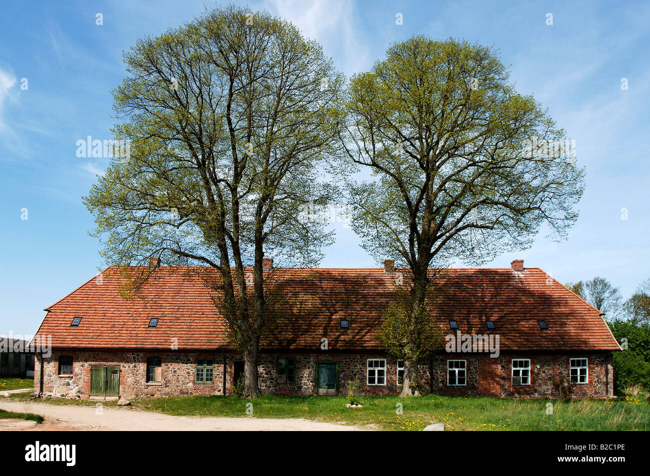 Old farmhouse with two trees, Lassahn, Mecklenburg-Western Pomerania ...