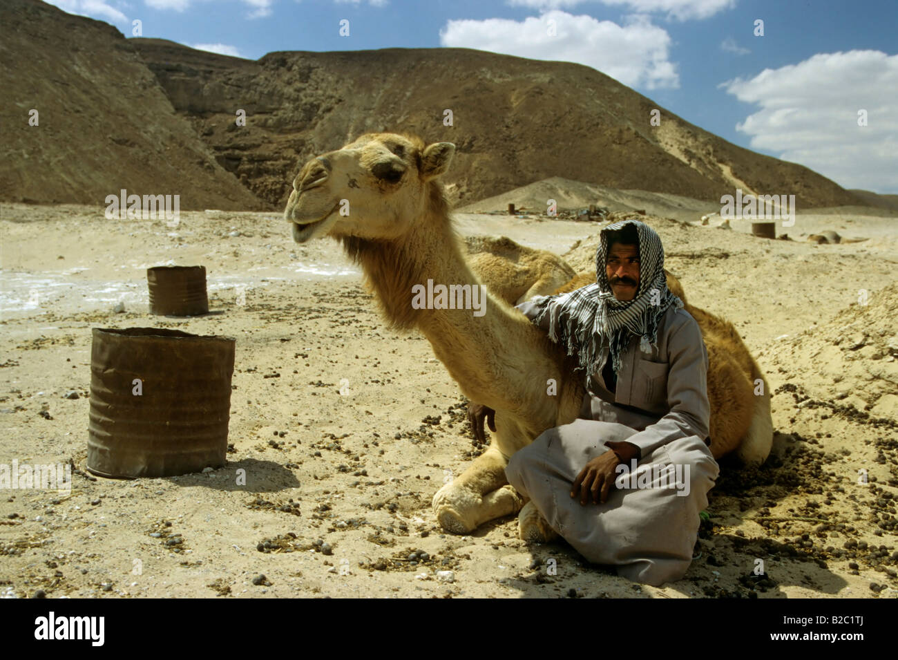 Sitting camel hi-res stock photography and images - Alamy