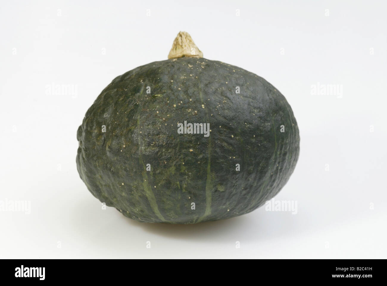 Gourd cucurbita spec hi-res stock photography and images - Alamy