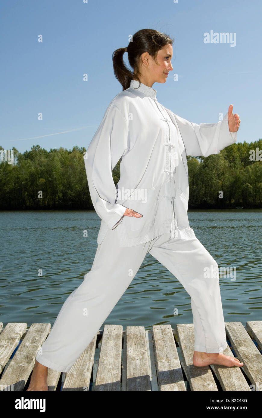 Grasp birds tail aerobic alternative hi-res stock photography and ...