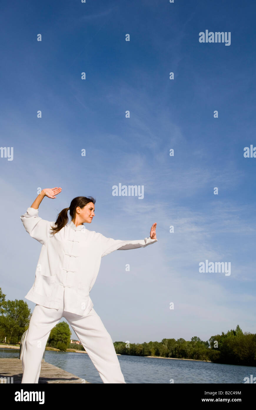 Grasp birds tail aerobic alternative hi-res stock photography and ...