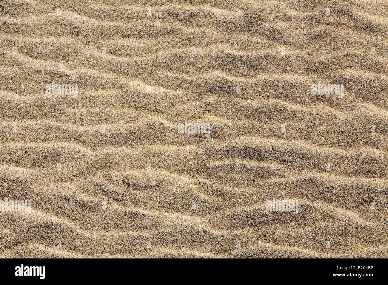 Patterns in the sand, beach, Atlantic Stock Photo - Alamy