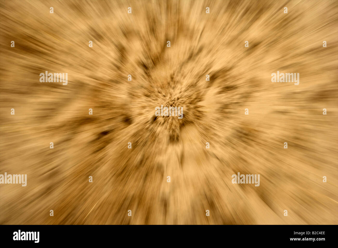 Sand on beach in landscape zoomed through the lens of camera Stock ...