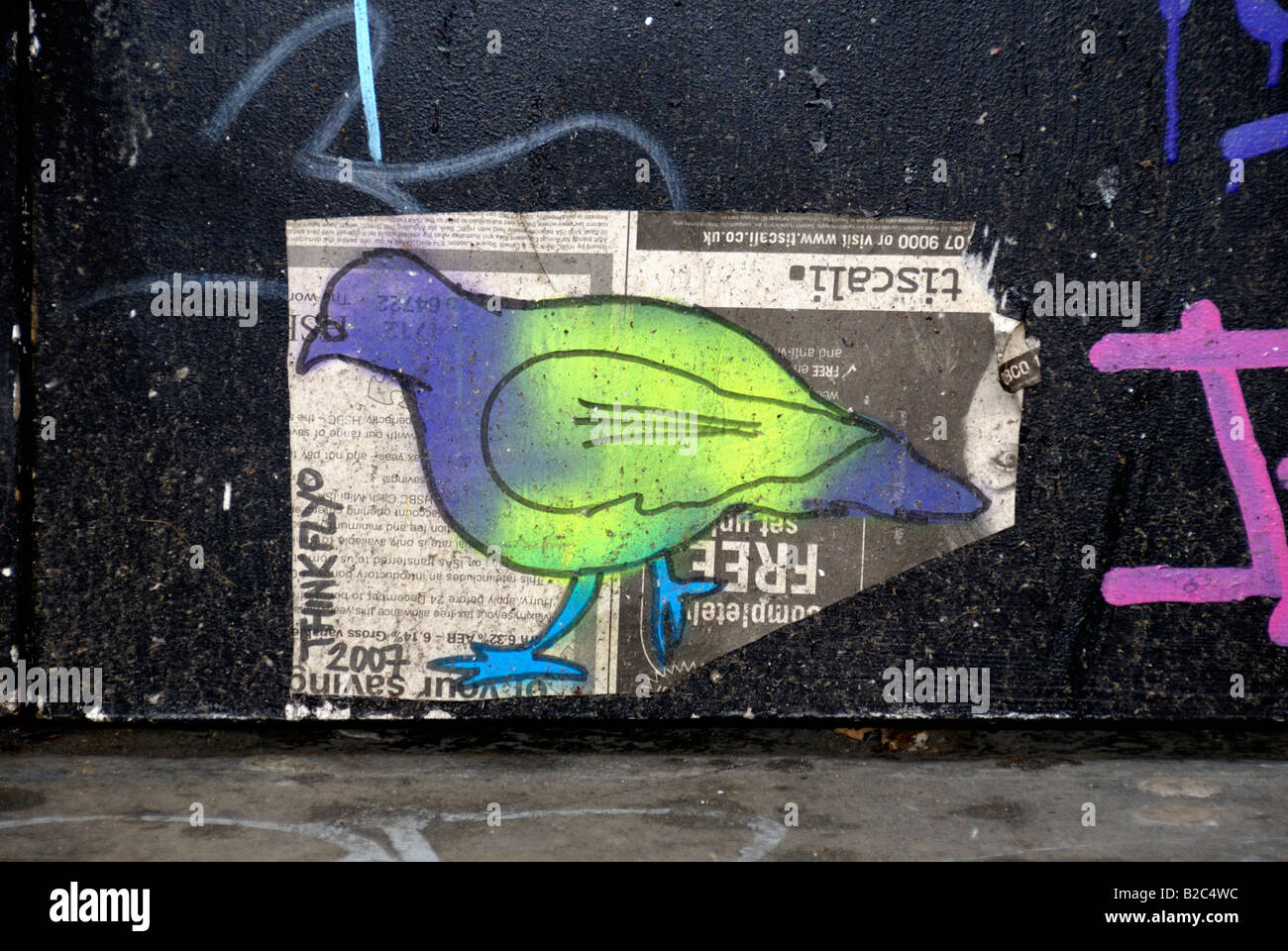 Newspaper on textured wall with painted pigeon, London Stock Photo - Alamy