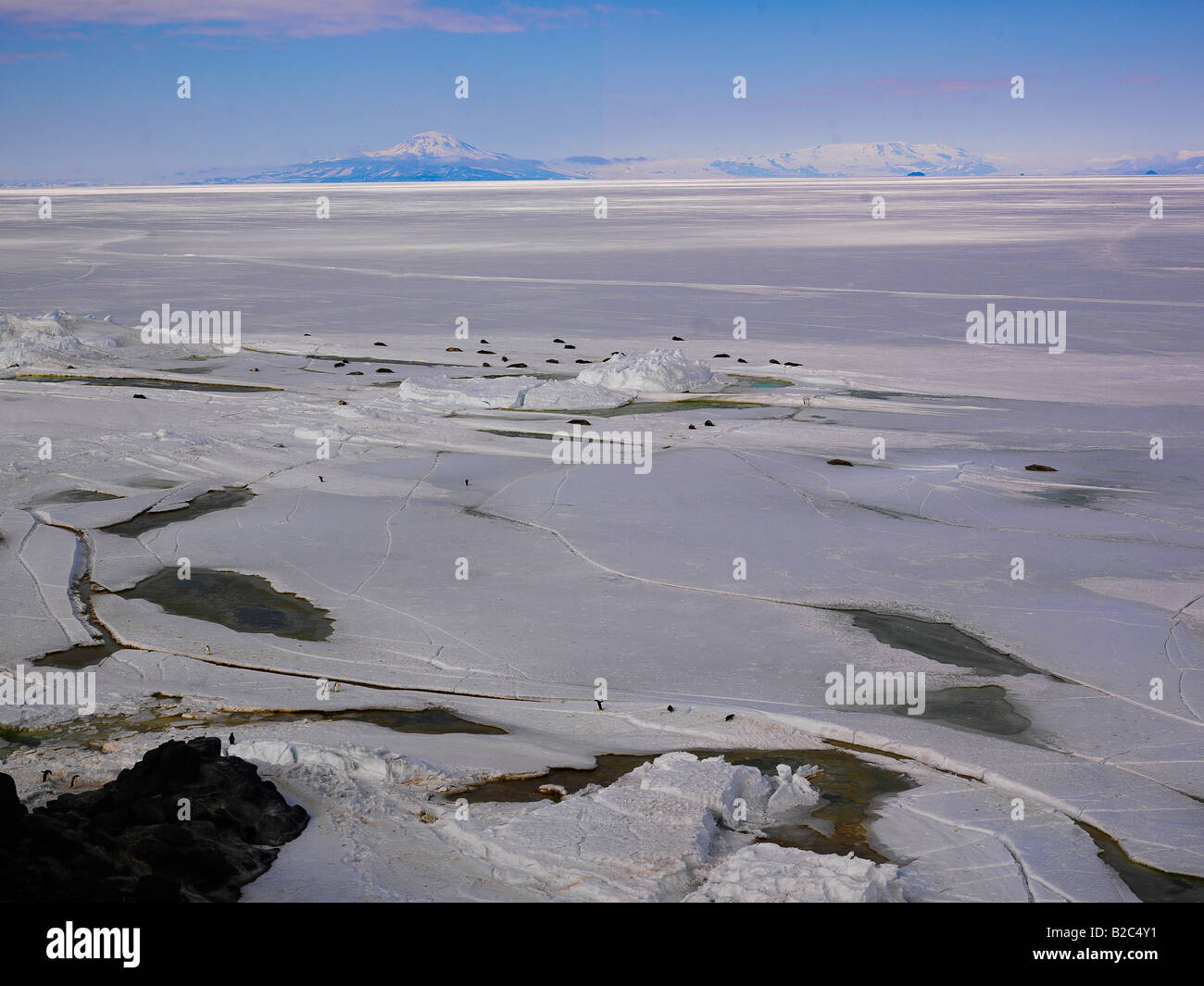 Cape Royds with Mt. Erebus, 3794m, at back, Ross Island, Antarctica ...