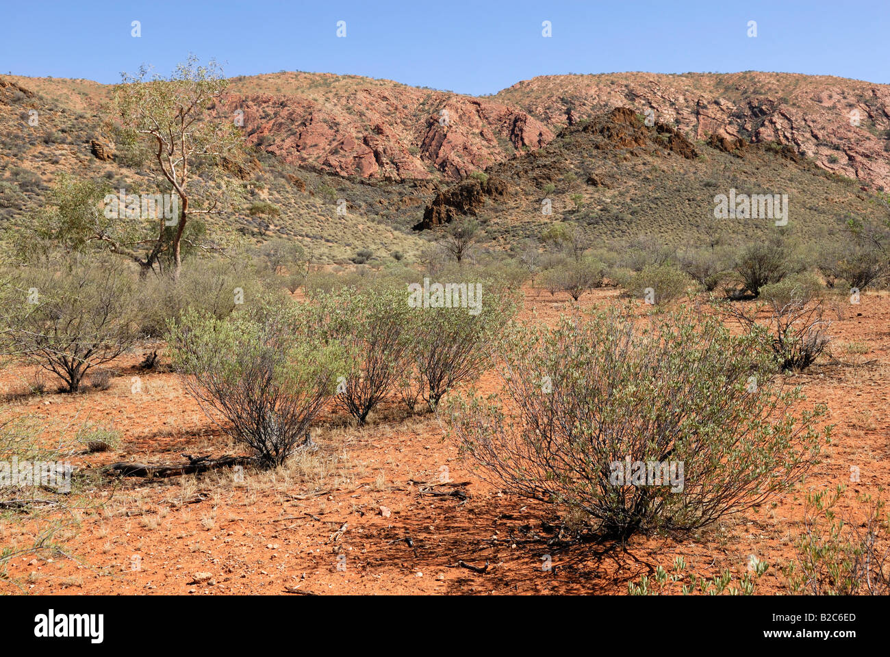 Outback landscape, East Macdonnell Ranges, Northern Territory ...